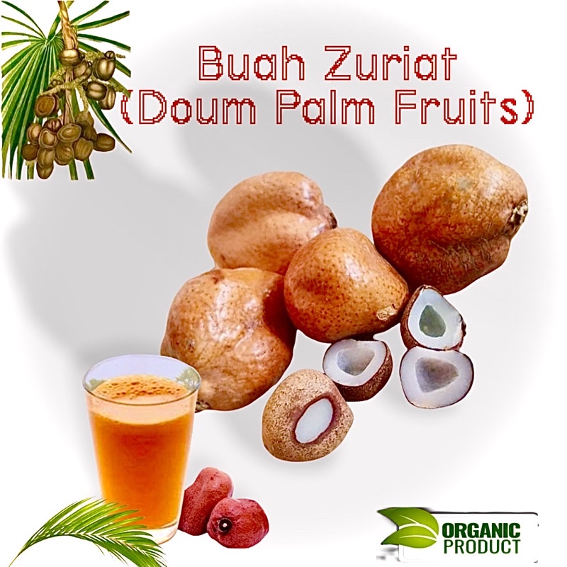 Buah Zuriat 100g Adam Hawa, Doum Fruits, Ikhtiar Hamil | Shopee Malaysia