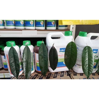 LEILI Foliar 3 (Leili 2000, AMICA & Algreen) (1L) - Baja foliar yang ...