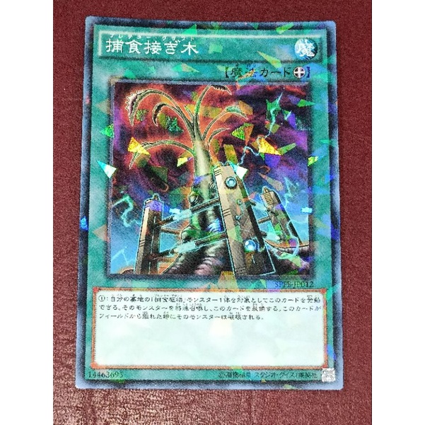 YUGIOH KONAMI SPFE-JP012 Predapruning (Normal Parallel/Common) | Shopee Malaysia