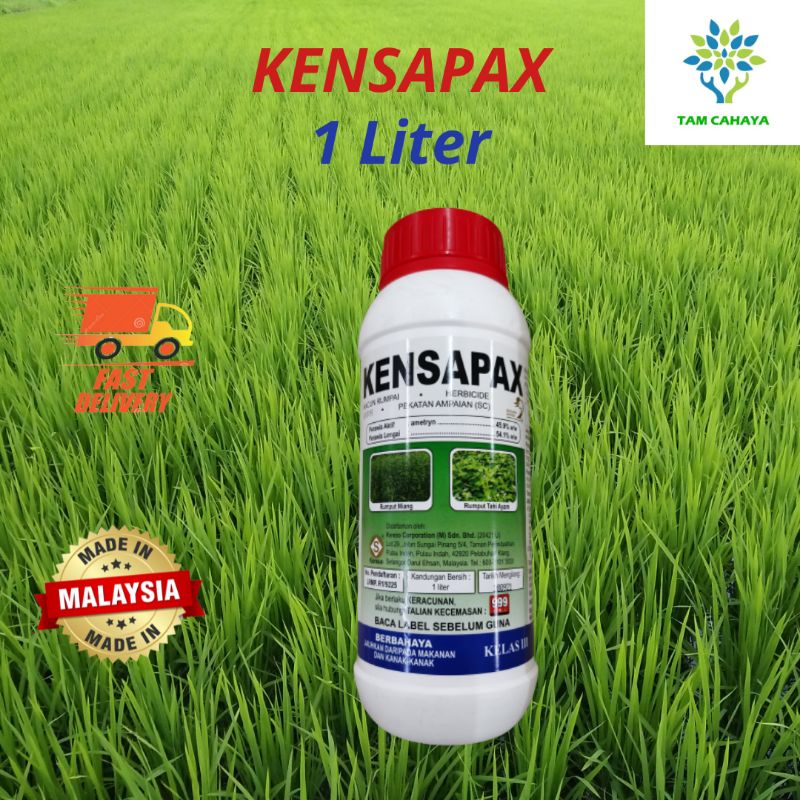 Kensapax 1Liter (Sama Dengan AMFINE SYMBOL AMETREX AMEPAX Farmspect ...