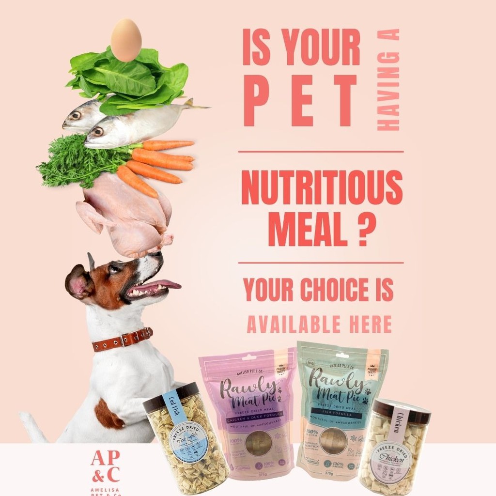 Amelisa Pet & Co. Online, September 2022 | Shopee Malaysia