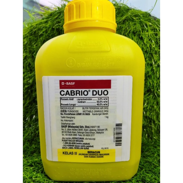 BASF Cabrio Duo 1kg pyraclostrobin+metiram | racun kulat antraknos ...