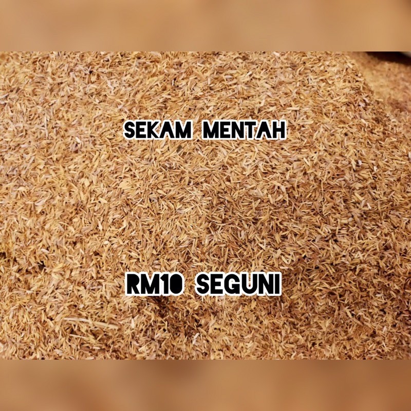 SEKAM PADI MURAH/ SEKAM MENTAH | Shopee Malaysia
