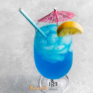 1883 MAISON ROUTIN 1883 Blue Curacao Syrup Blue Syrup Cordial Syrup ...