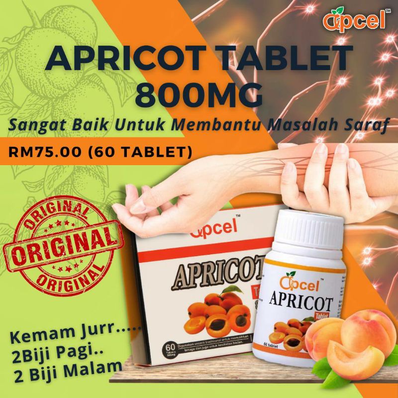 Apricot Tablet 800mg | Shopee Malaysia