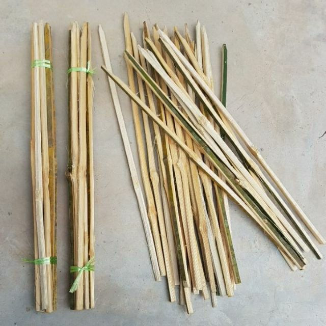 (25pcs) PANCANG BULUH PENYOKONG ANAK POKOK | Shopee Malaysia