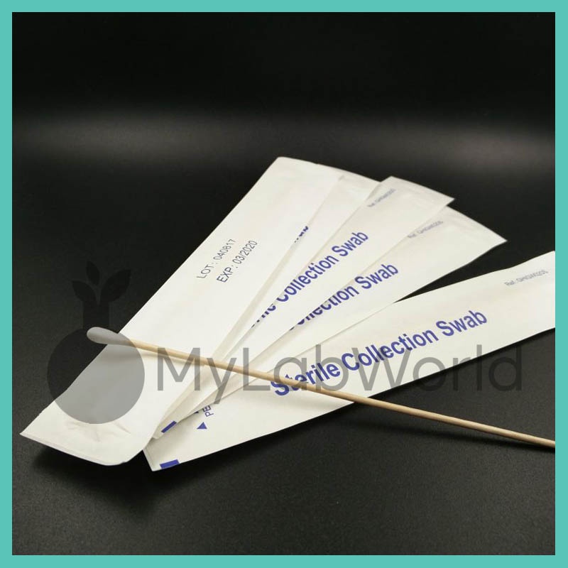 Plain Sterile Collection Swab Wooden Stick Cotton Tip Swabs | Shopee ...