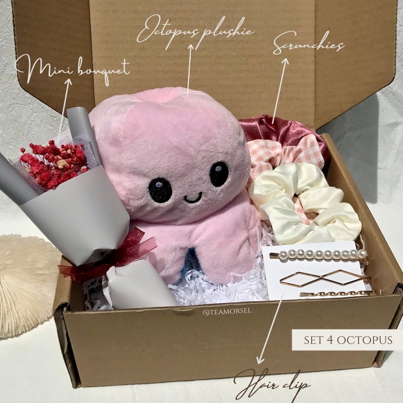Surprise Gift Box Murah Octopus Plushie/Birthday/Ramadan/Friendship ...