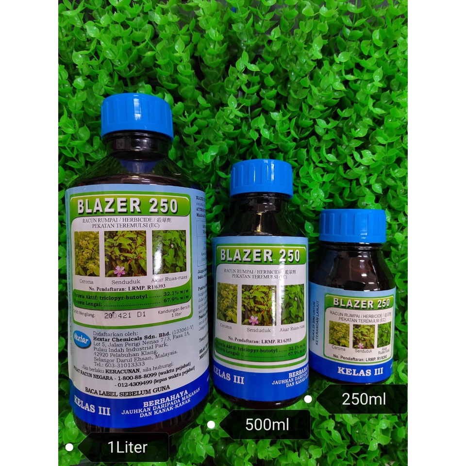 BLAZER 250(SAMA DENGAN / KENLON / GARLON / RANGER ) KILLER FOR POKOK ...