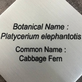 Tree Tag/ Plant Label/ Label Pokok/ Penanda Pokok/ Tag Besi Nama Pokok ...