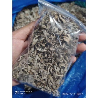 Cendawan kukur kering/kulat sisir kering (30g) Asli dari pokok getah ...