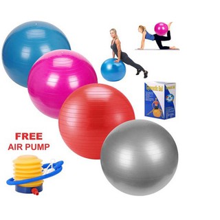 Yoga Ball Gym Fitness Iron Shake Weight Bola Getah Besar Senaman Sakit ...