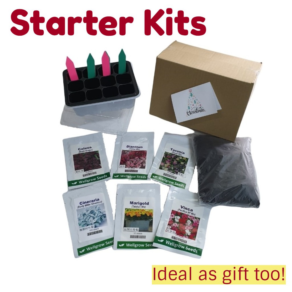 Wellgrow Seeds Official Store, Online Shop | Shopee Malaysia