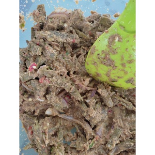 Buah Beka Muda (bonglai) | Shopee Malaysia