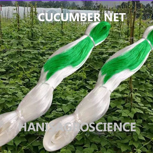 CUCUMBER NETTING - Untuk tanaman sayur menjalar - Tahan lasak dan kuat ...