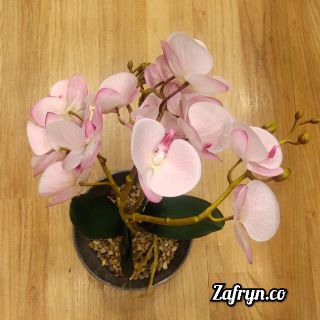 Kaison Artificial Potted Plant, Purple & White Orchid Pokok Bunga ...
