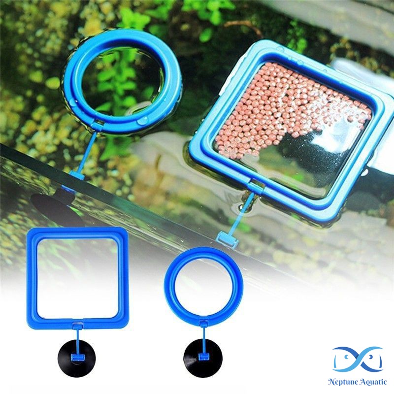 [Ready Stock] Aquarium Floating Feeding Ring Square Circle Round Type ...
