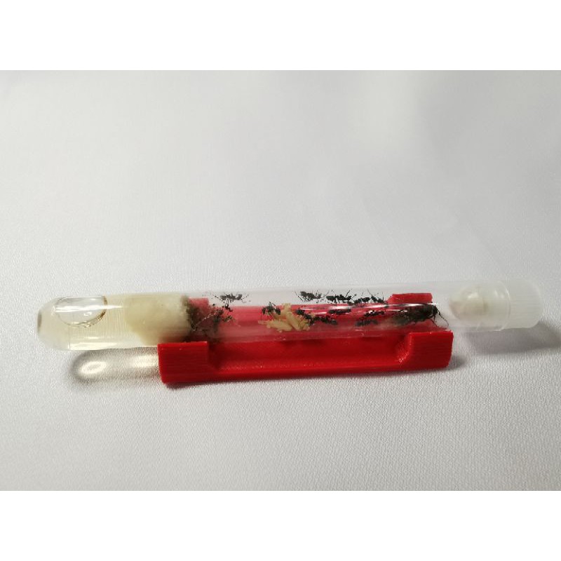 The Ant Shop - Test Tube Holder 12-16mm Test Tube -Ant Farm Ant Keeping ...