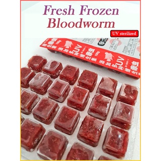 Frozen Bloodworm Cube 5 Pack/10Pack/25Pack Cacing Beku Pack 100g Per ...
