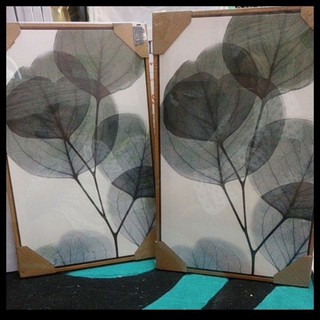 Kaison Malaysia Online Store & Catalogue, October 2022 | Shopee Malaysia