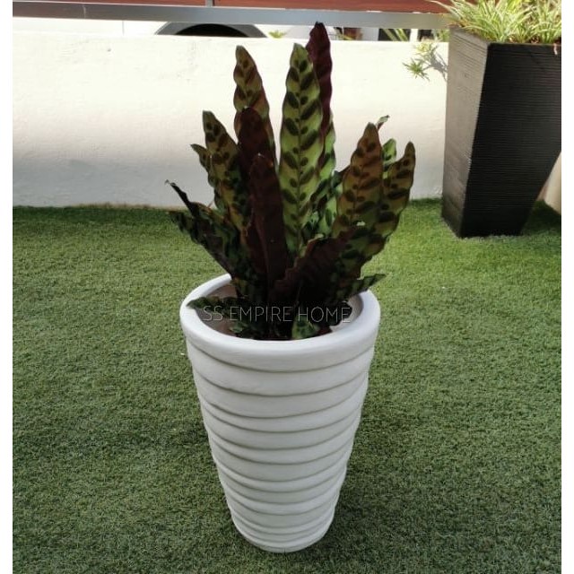 REX FP11 Gloss Fibreglass Round Circular Flower Pot Pasu Bunga Garden ...