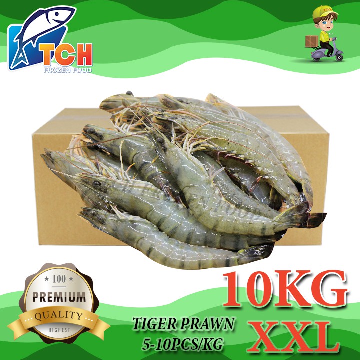 UDANG HARIMAU XXL, TIGER PRAWN XXL, TCH FROZEN FOOD, FRESH FROZEN ...