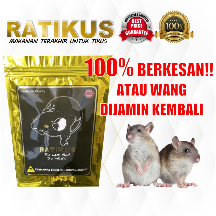 tikus - Prices and Promotions - Jan 2023 | Shopee Malaysia