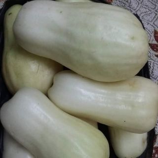 Jambu susu jambu tetek | Shopee Malaysia