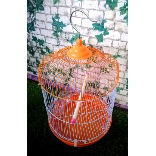 Sangkar Burung/sugar glidder besi Bulat (random color) | Shopee Malaysia