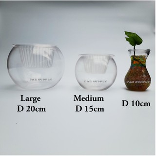 Pasu Bunga kaca bulat Glass vase Indoor Hydroponic Flower vase round ...