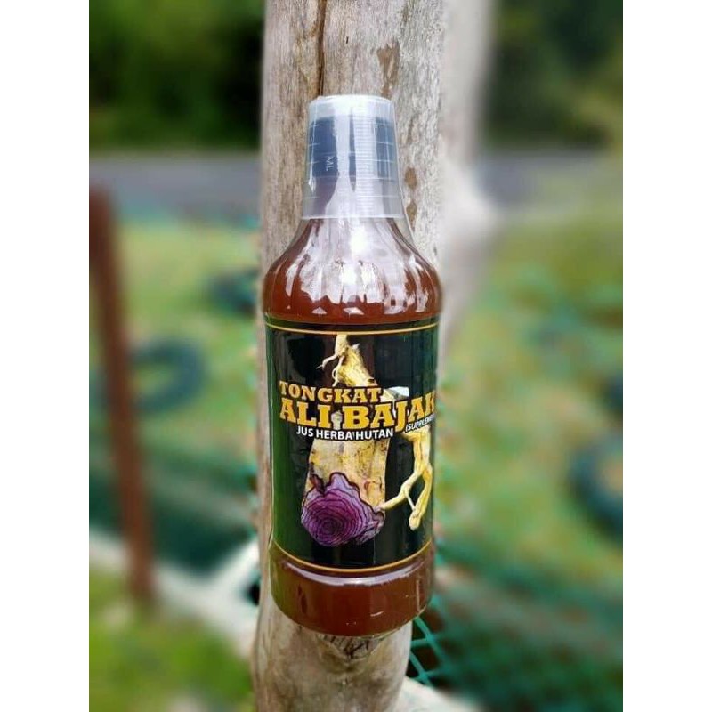 Pokok Gajah Beranak is rated the best in 04/2024 - BeeCost