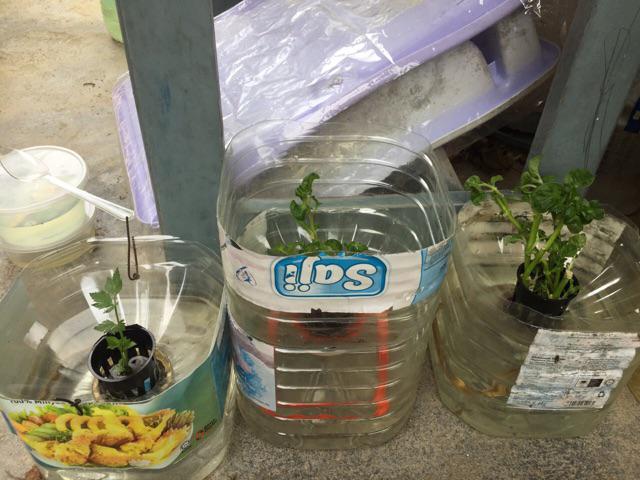 1KG / 10L Baja AB Set Fertigasi Hydroponic Buah Sayur Daun Cili ...