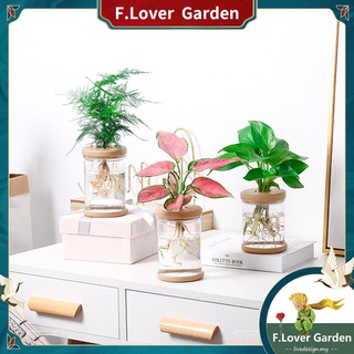 pasu bunga - Prices and Promotions - Feb 2023 | Shopee Malaysia