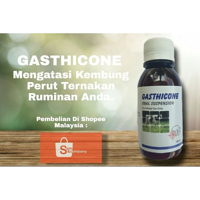 GASTHICONE UBAT KEMBUNG PERUT UNTUK LEMBU/KAMBING/RUSA (100ml) | Shopee ...