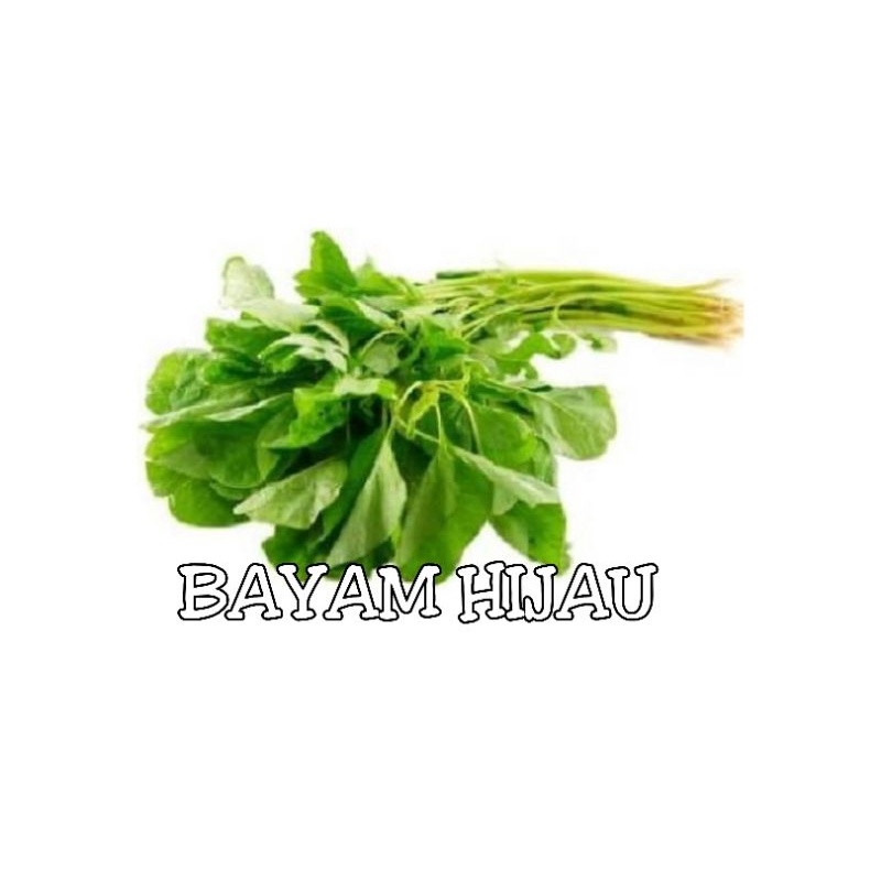 Benih Sayur BAYAM DAUNBULAT HIJAU | Shopee Malaysia