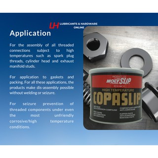 Molyslip Copaslip Copper Anti Seize Compound (500 Gram) - High ...