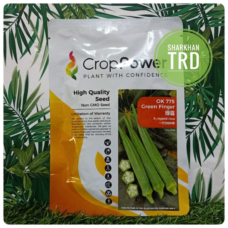 Paket 50g OK 775 GREEN FINGER Crop Power Biji Benih Kacang Bendi F1 ...