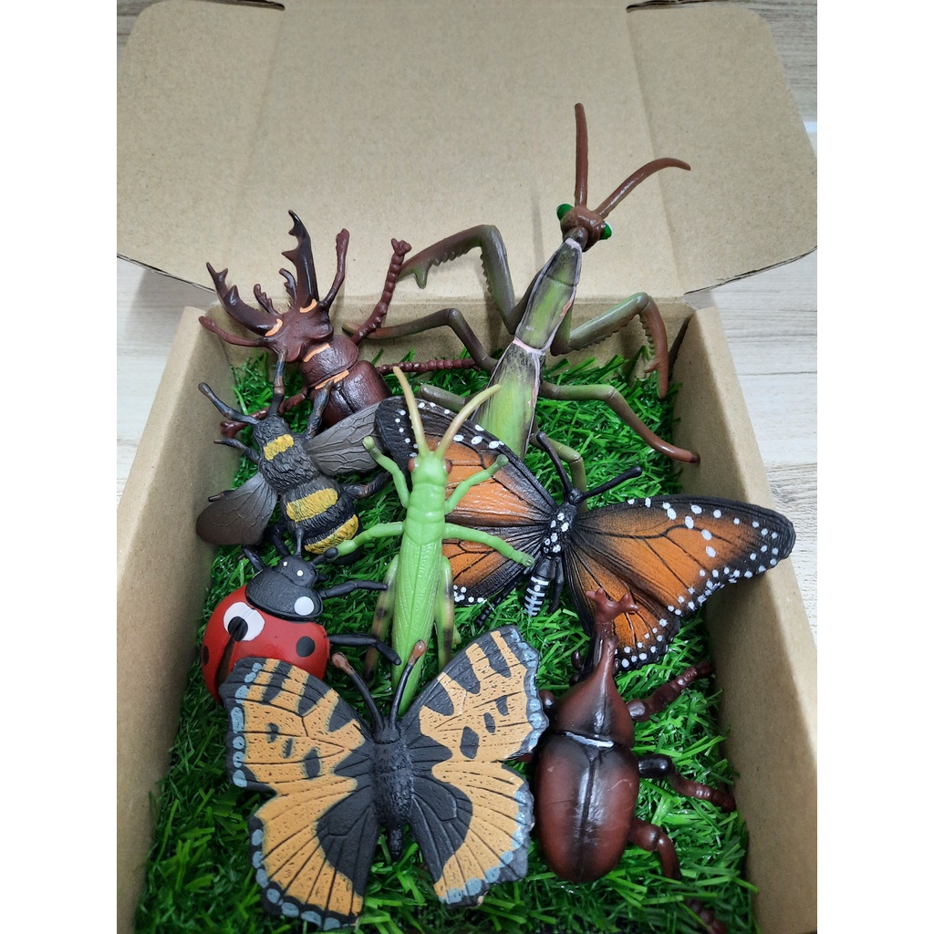Insect Toy Realistic Insect Model Montessori Animal Match Miniature ...