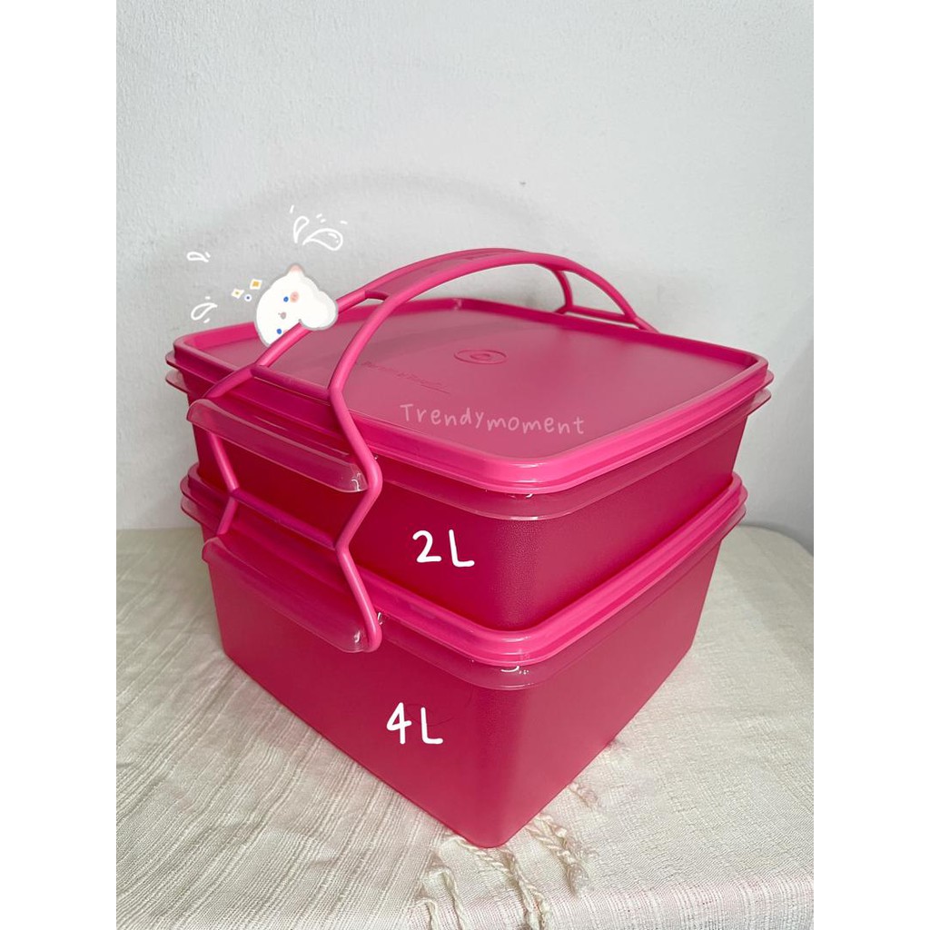 Tupperware Jumbo Goody Box with Cariolier | Shopee Malaysia
