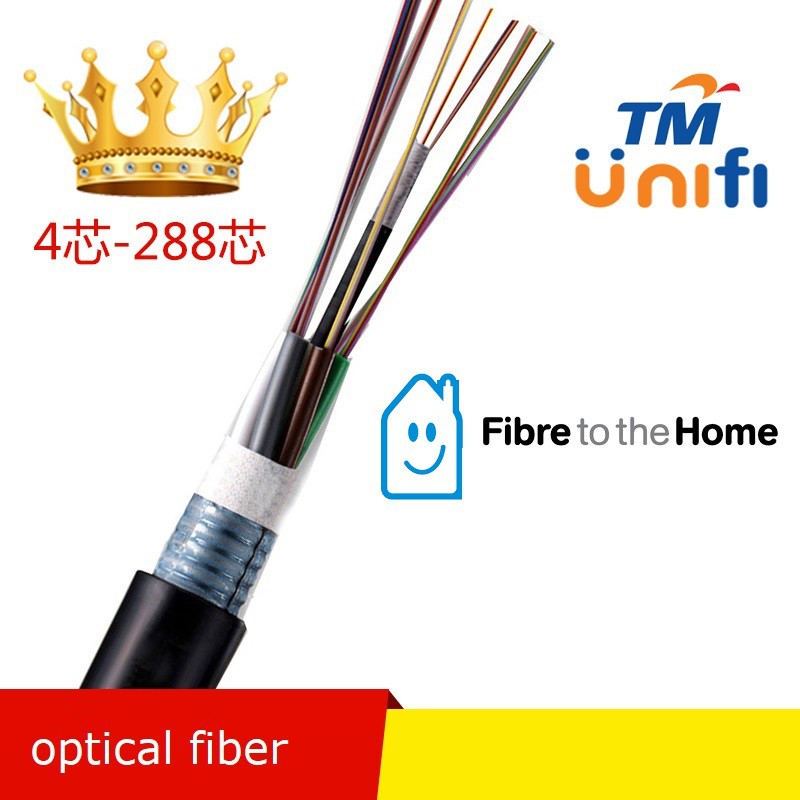 OUTDOOR 12 CORE FIBER OPTIC SINGLE MODE ARMOURED CABLE | Shopee Malaysia