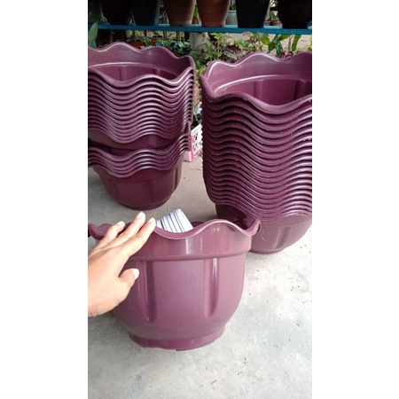 pasu Bunga saiz 33 (Brown) | Shopee Malaysia