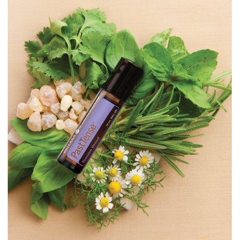 doTERRA Past Tense Roll On 10ml | Shopee Malaysia