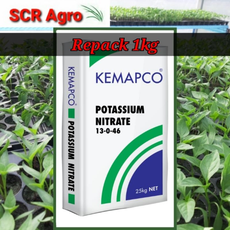1kg Potassium Nitrate Kalium Nitrate Kemapco 13-0-46 Fertilizer Hydroponic Fertigation | Shopee ...