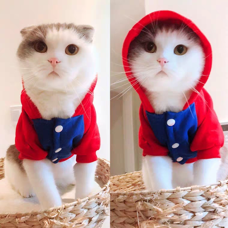 [ 🇲🇾Offer Merdeka 2021 ] 4 Design Hoodie Kucing Puppy Terbaru Baju ...