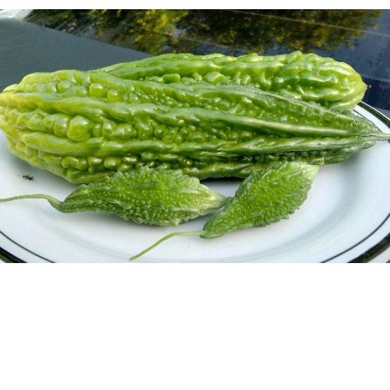 BUAH PERIA KATAK FRESH / 0.5kg | Shopee Malaysia