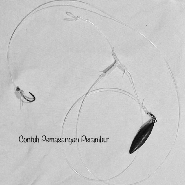 PERAMBUT (UMPAN HIDUP, UMPAN ISI UDANG/IKAN, LONG CAST/SURF CASTING ...