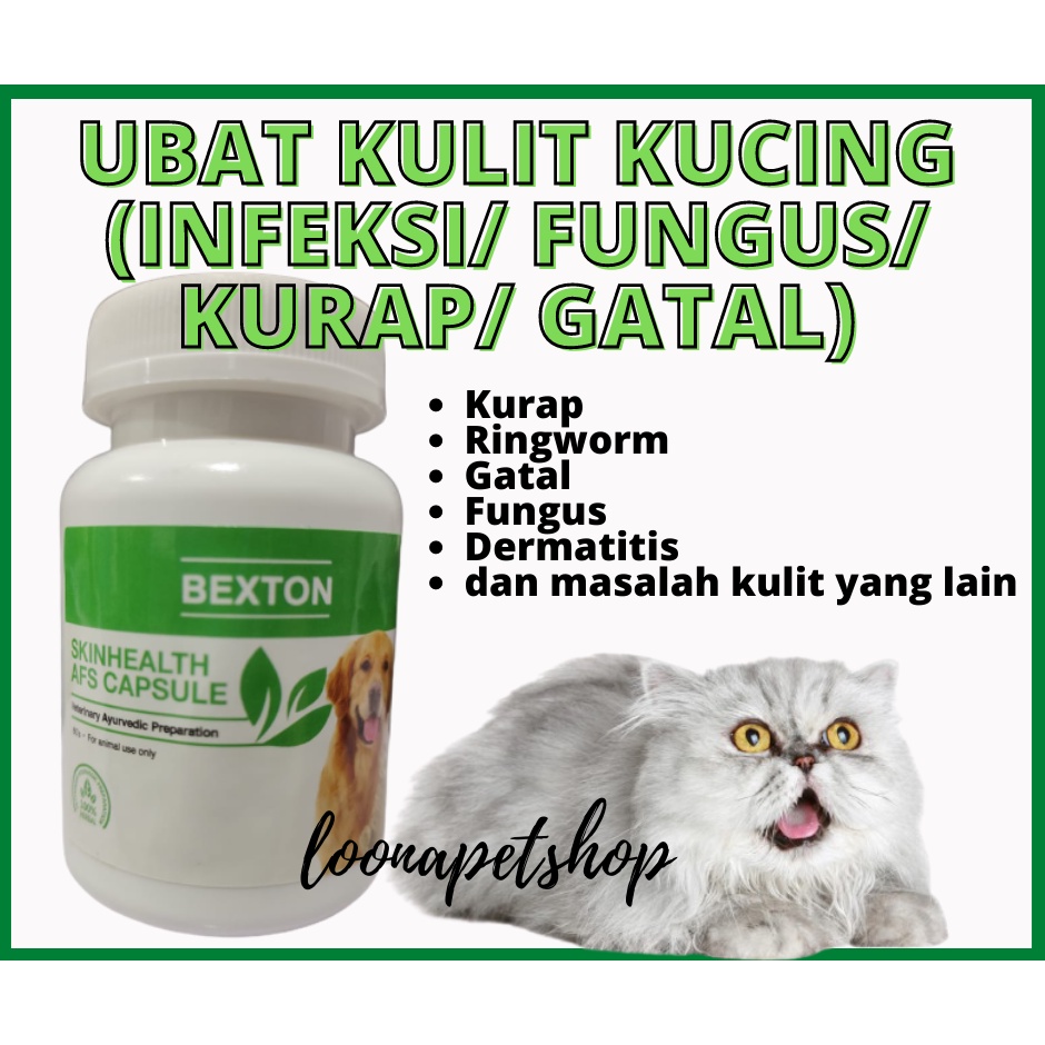 Ubat Kurap Kucing Fungus Kucing Luka Gatal Pet Bexton | Shopee Malaysia