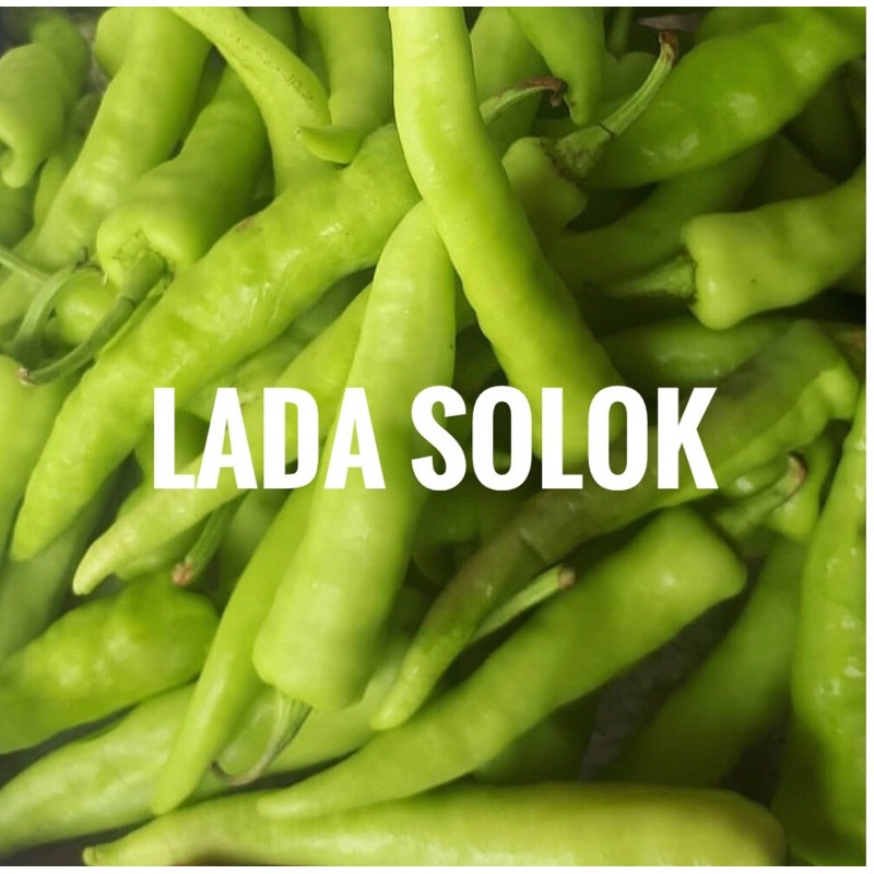 LADA SOLOK KELANTAN READY STOK | Shopee Malaysia