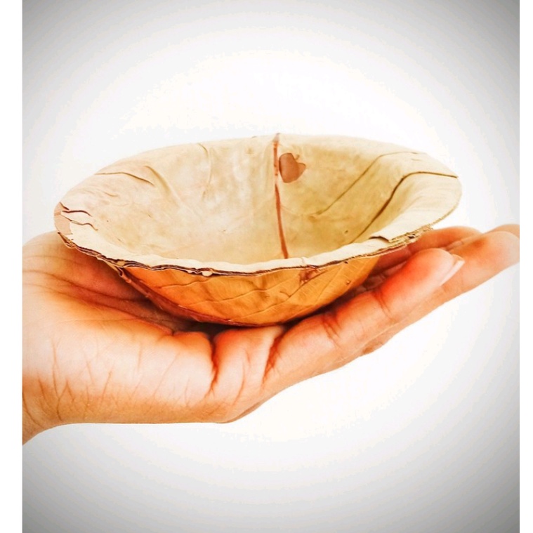 Thonnai (Brown Leaf Cup)/ தொன்னை (1PCK-10 PIECES) | Shopee Malaysia