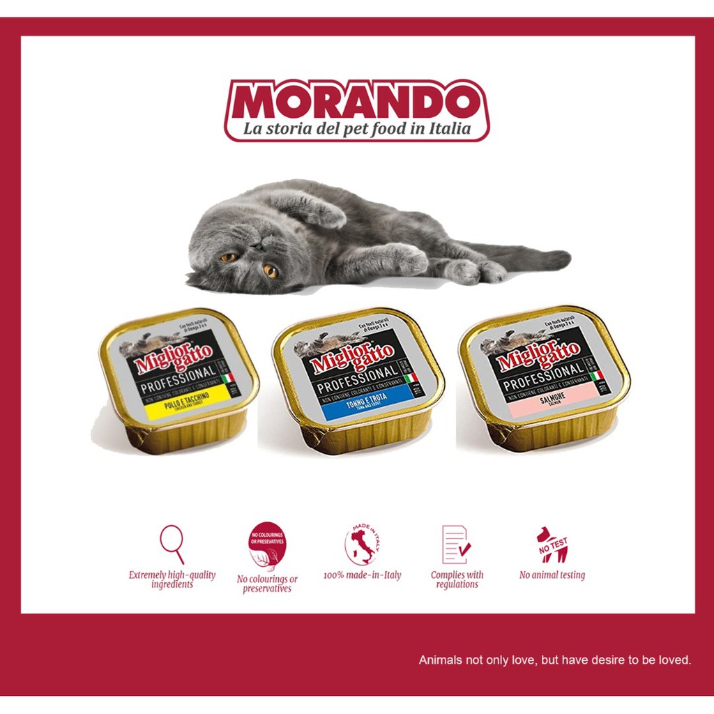 MORANDO MIGLIOR GATTO CAT WET FOOD Cat Wet food 100g ( CHICKEN AND ...